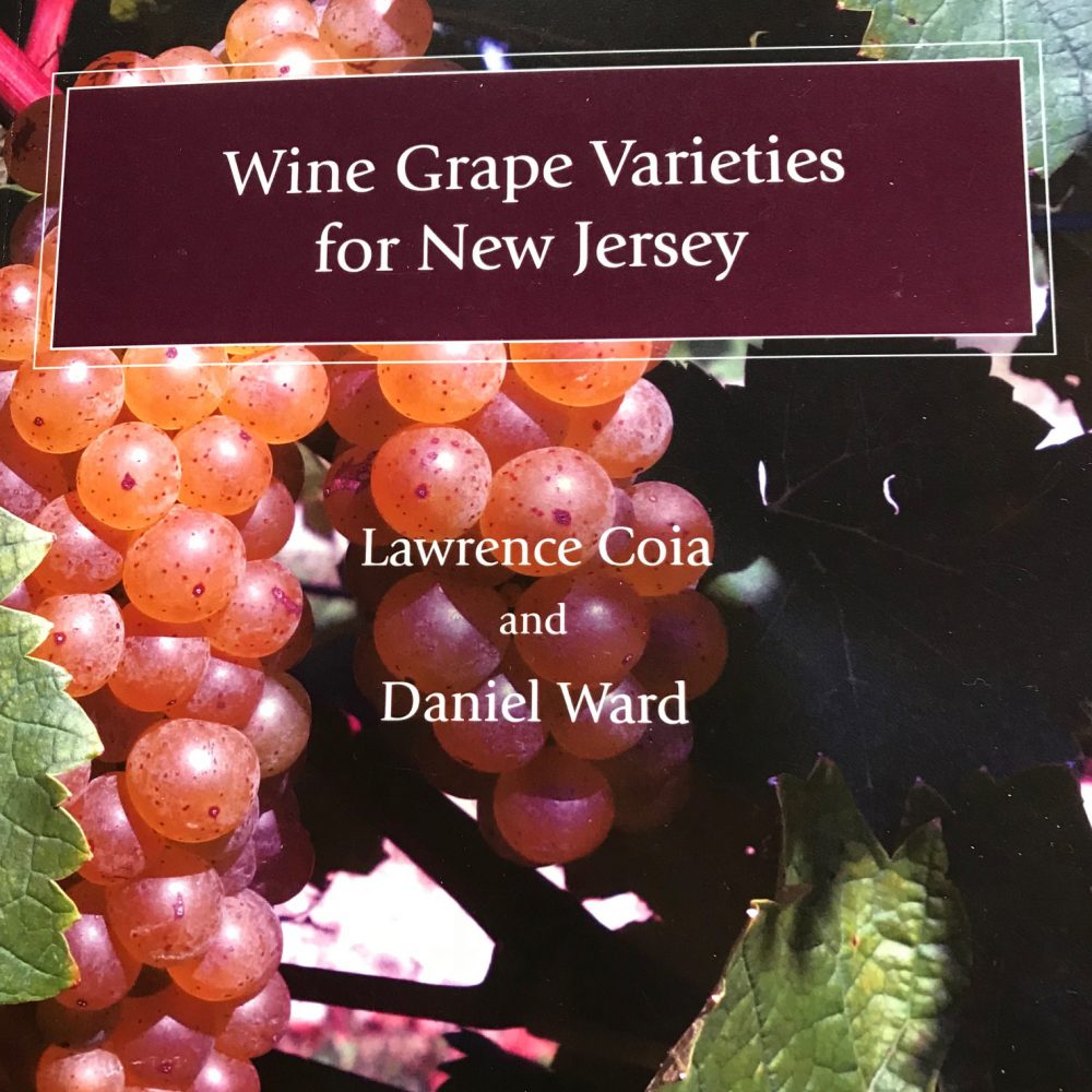 Outer Coastal Plain Vineyard Association